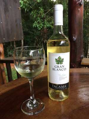 Tacama Wine Tasting, Ica Valley, Peru - Wine and Cheese Friday